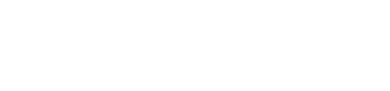 Capital Automotive Group - People First. Automotive Always.
