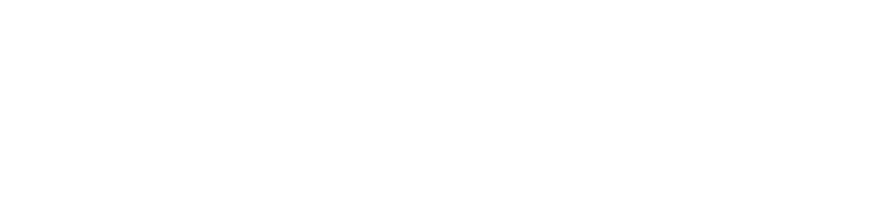 Capital Automotive Group - People First. Automotive Always.