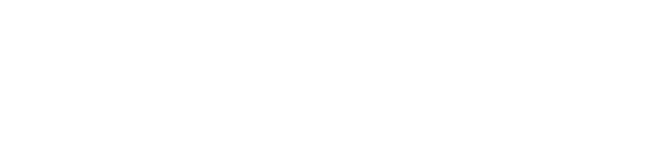 Capital Automotive Group - People First. Automotive Always.